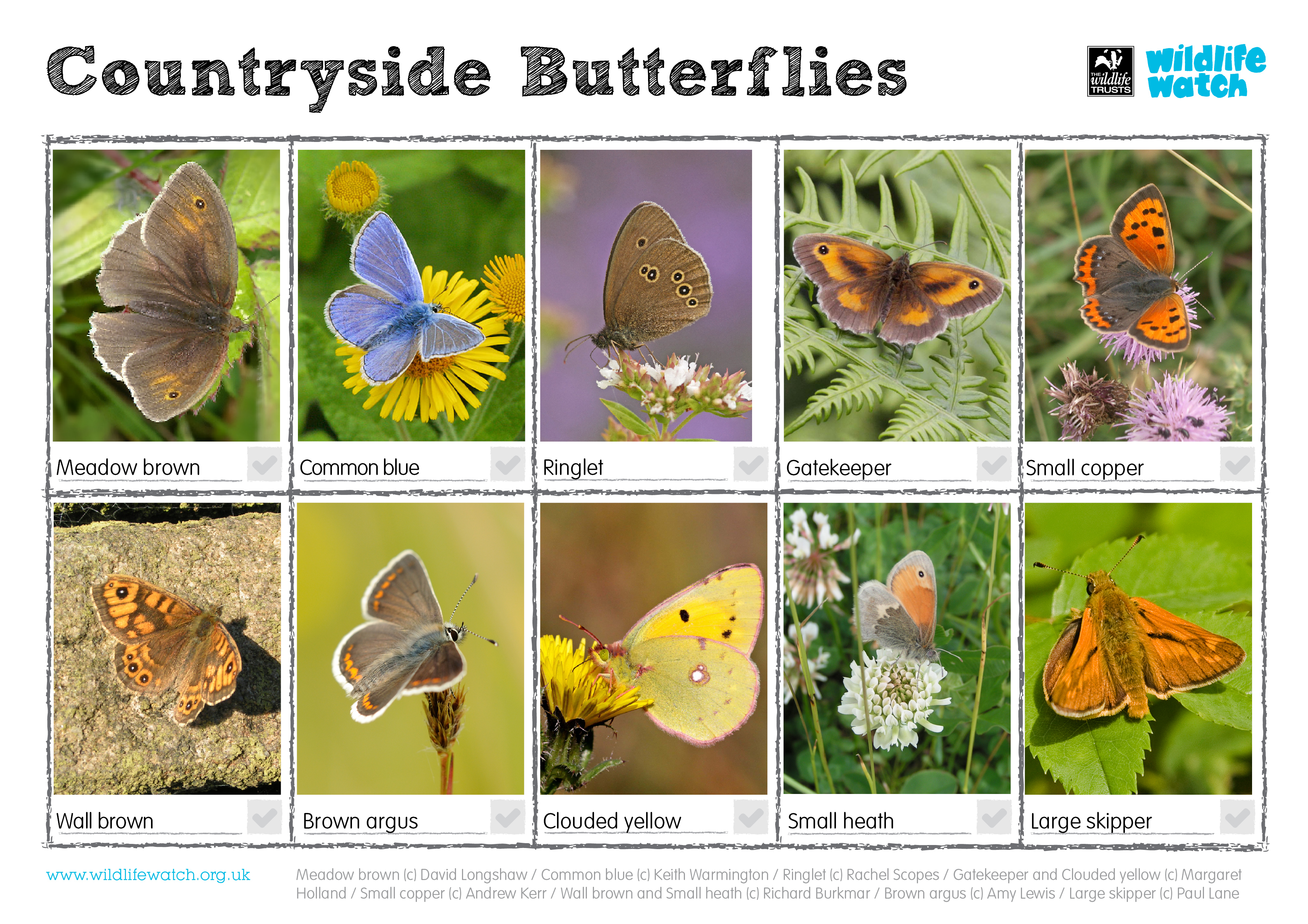 Grassland | Wildlife Watch