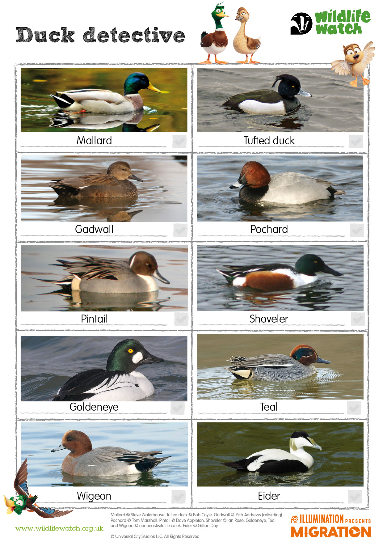 The Wildlife Trusts and Illumination's MIGRATION only in cinemas ...