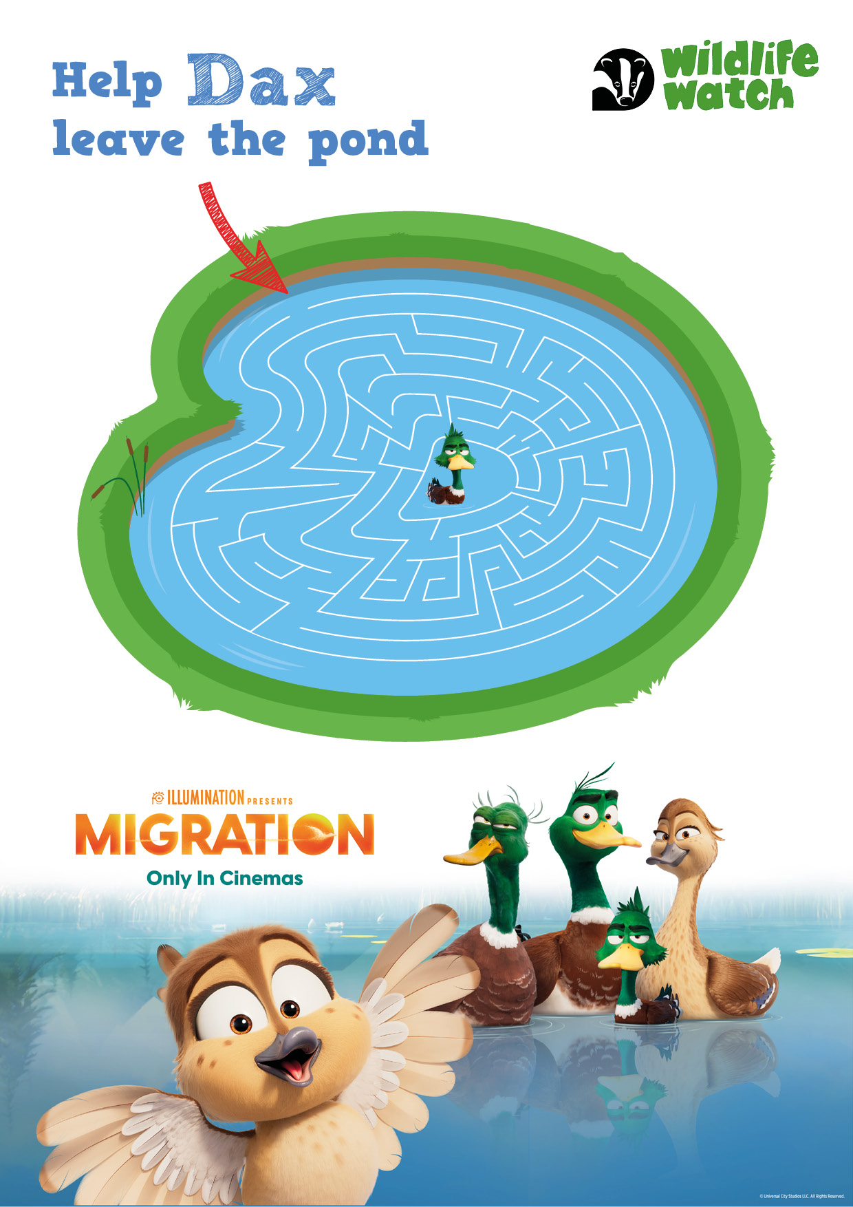 The Wildlife Trusts and Illumination's MIGRATION only in cinemas ...