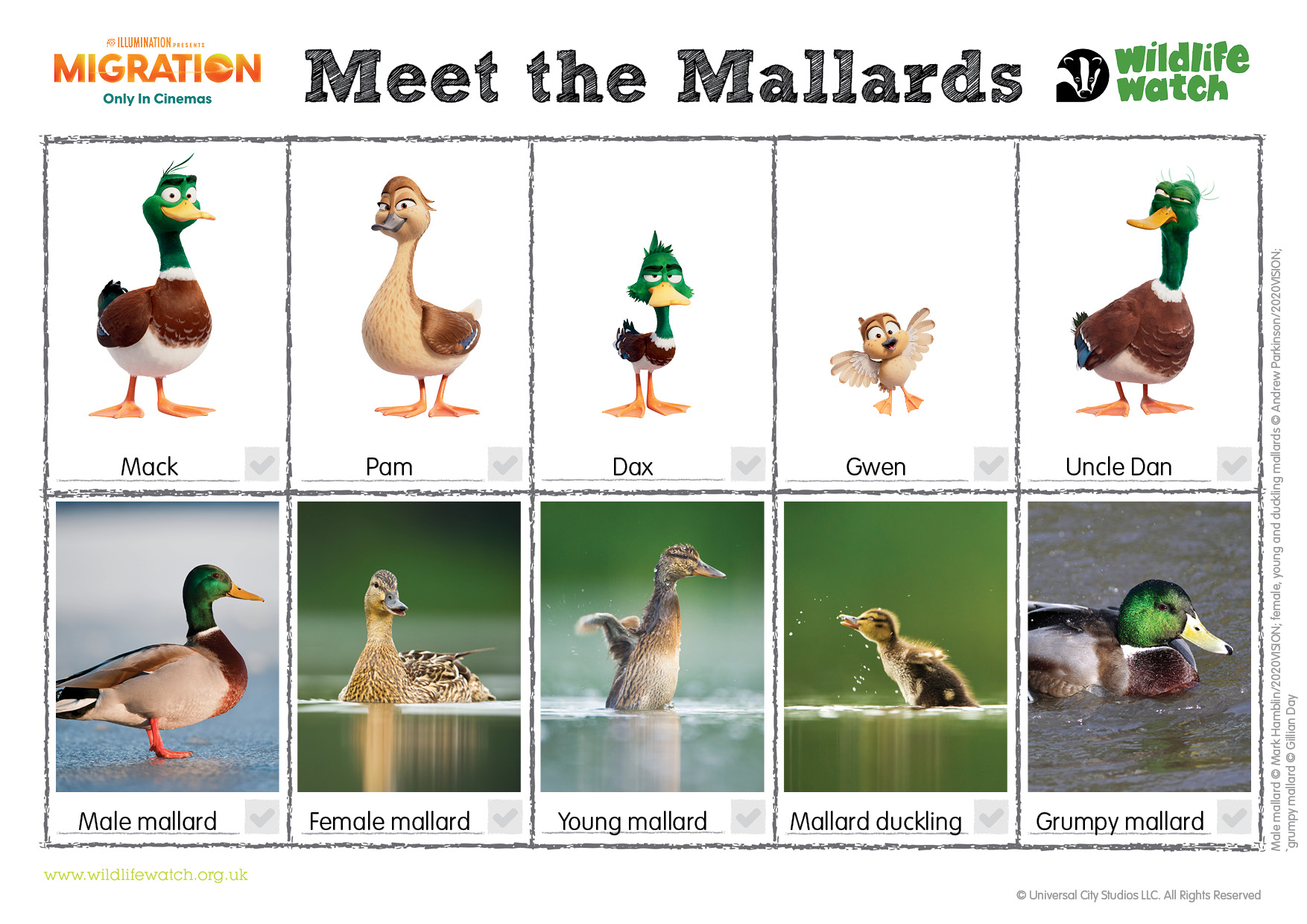 The Wildlife Trusts and Illumination's MIGRATION only in cinemas ...