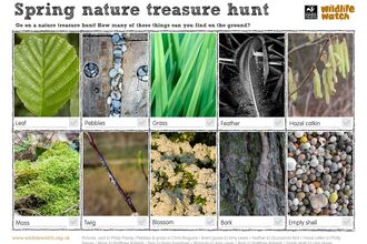 Spring | Wildlife Watch