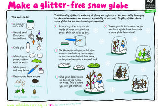 Winter | Wildlife Watch